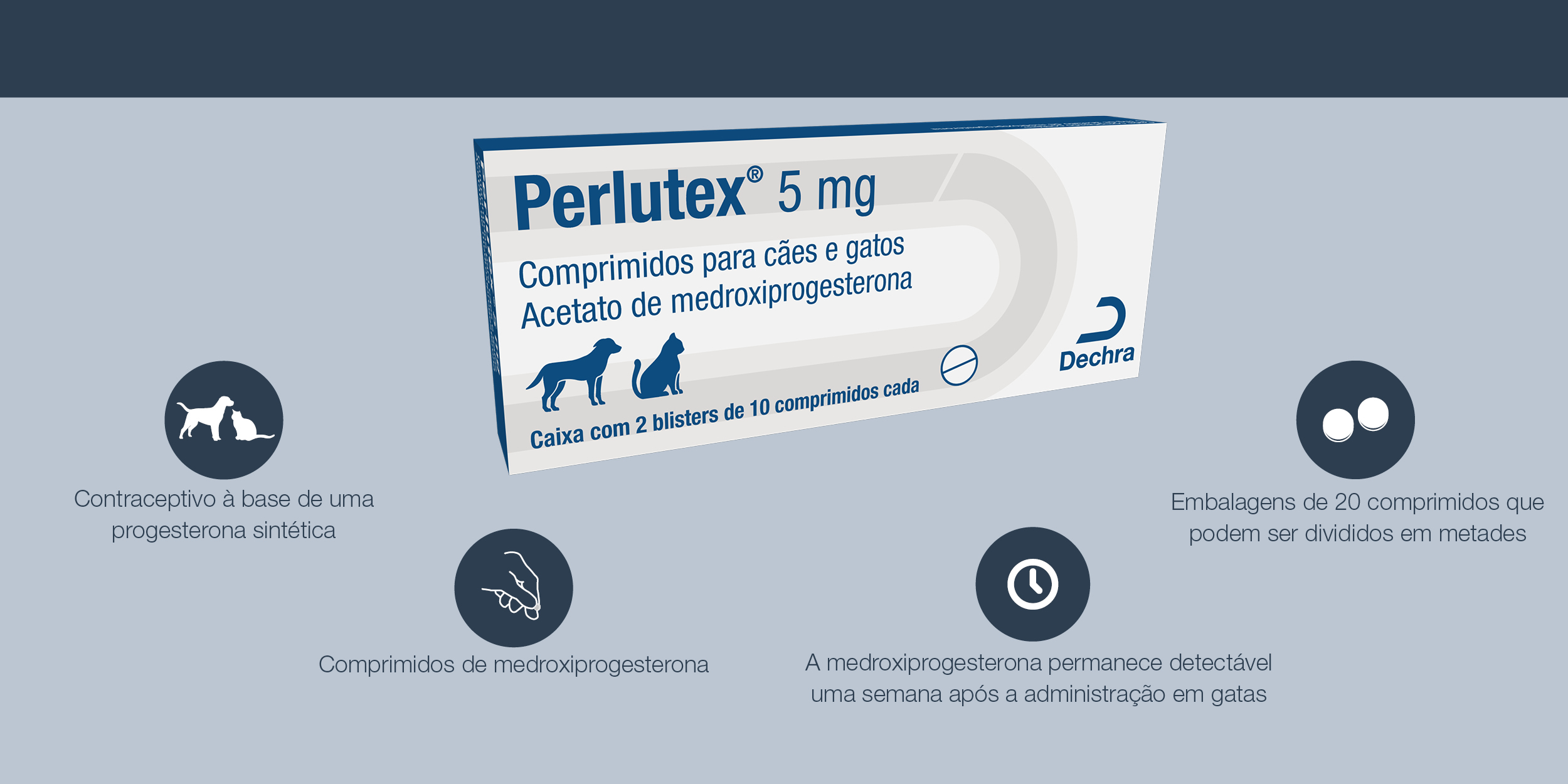 Perlutex está de volta